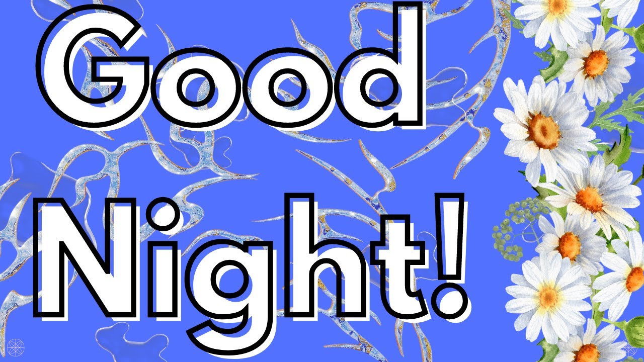 Good Night Message! May your night be blessed and may you wake up with ...