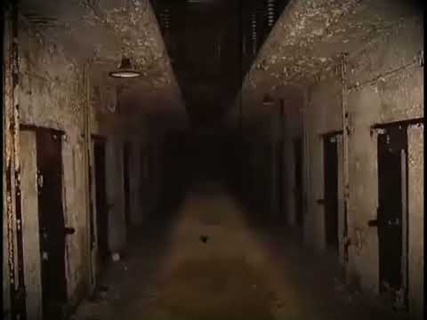 (JUMPSCARE WARNING) SCP-450 But It's A Original Of Screamer In Tнe Һallway!
