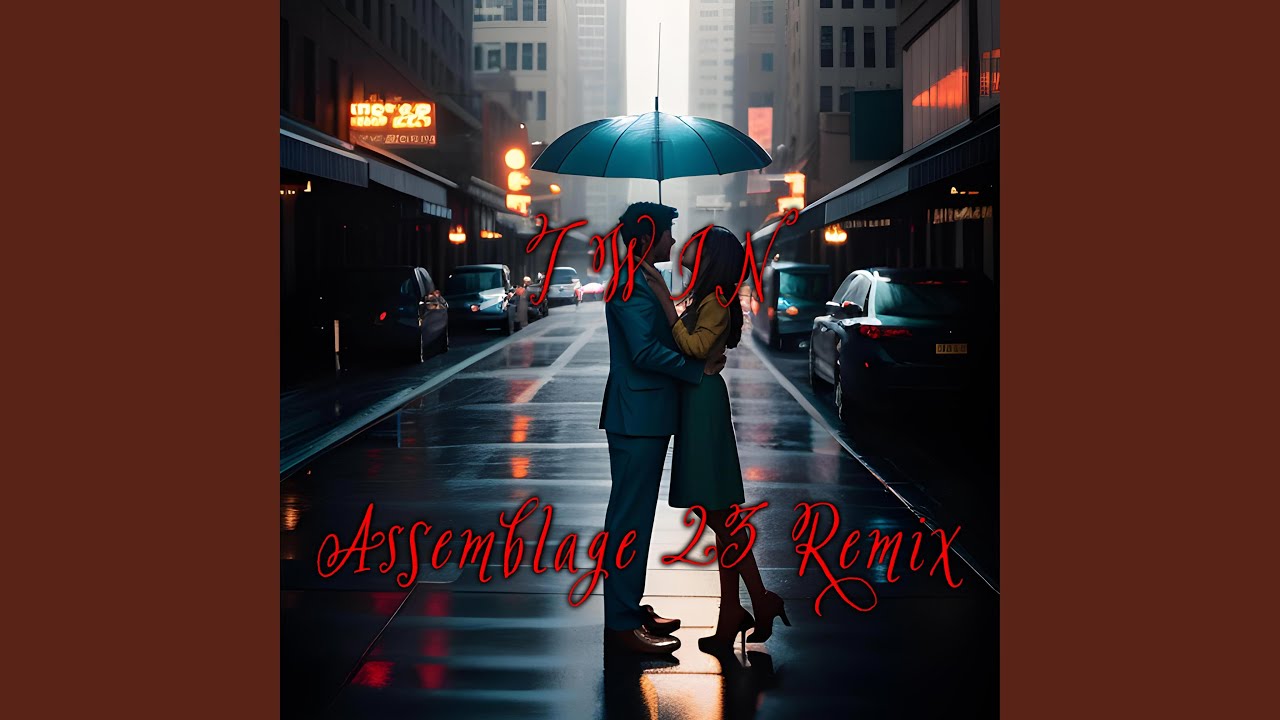 Twin (Assemblage 23 Remix) - YouTube