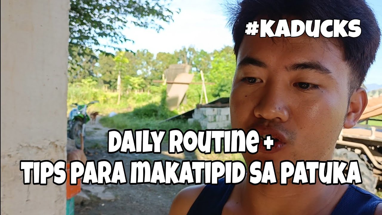 EP99 - DAILY ROUTINE + TIPS PARA MAKATIPID SA MGA ALAGANG ITIK #kaducks ...