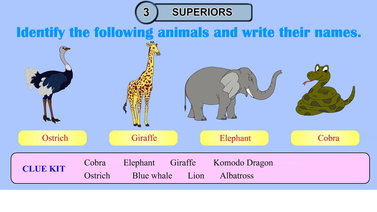 3 SUPERIORS - YouTube