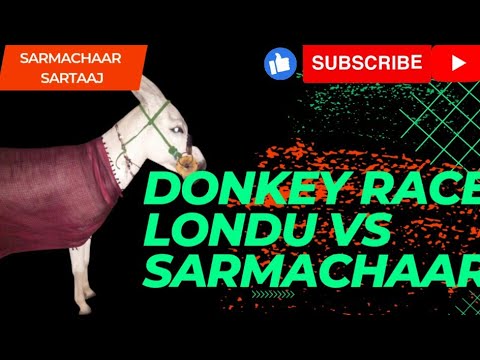 donkey world🐴 sarmachaar vs Londu donkey race karachi pakistan 👑my 👑 ...
