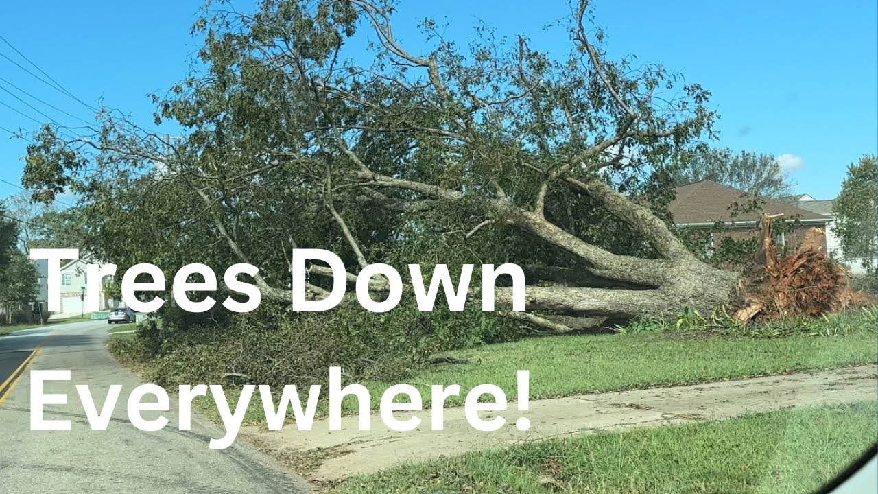 After Hurricane Helene Trees Down Everywhere! - YouTube