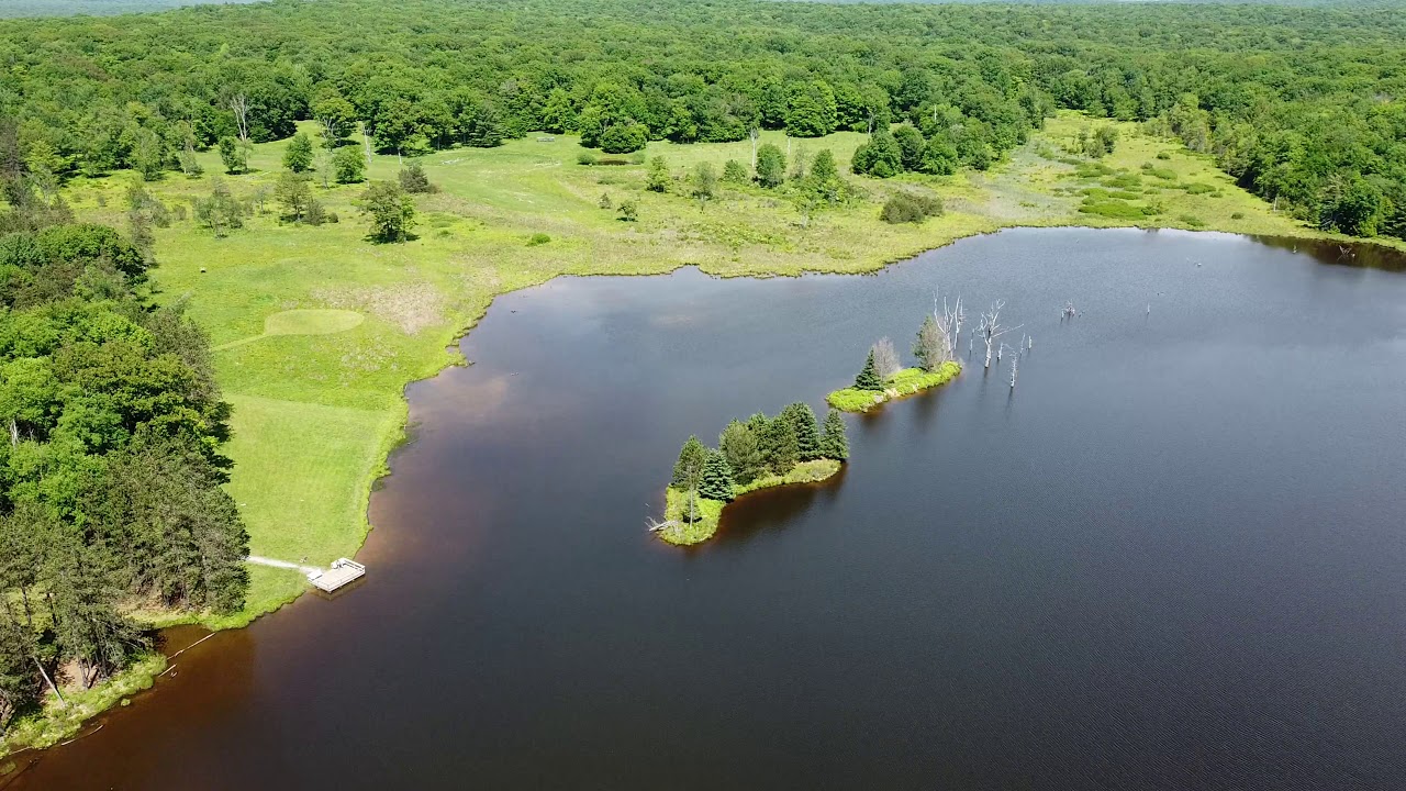Shaggers Inn Pond -- Flyover with DJI Mavic Mini. - YouTube