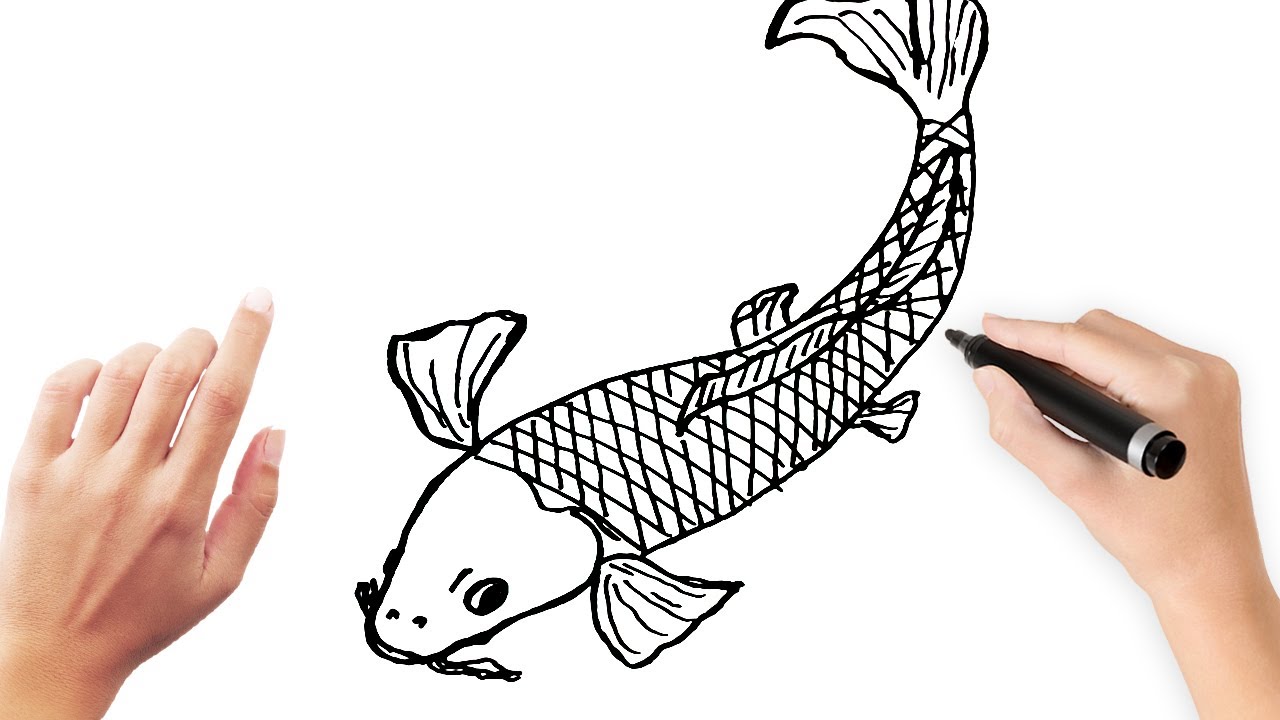 How to make Shōwa Sanke koi fish step by step | drawing, coloring ...