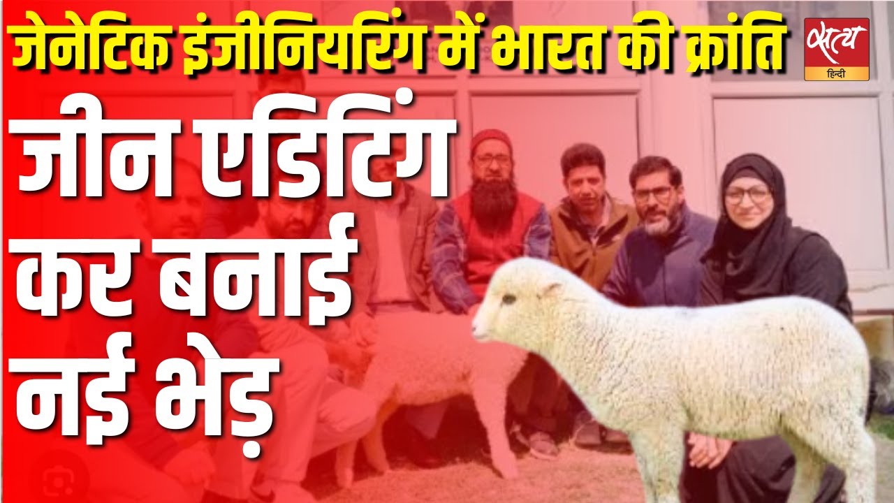 India’s Gene-Edited Sheep T1: A New Era in Animal Science Begins - YouTube