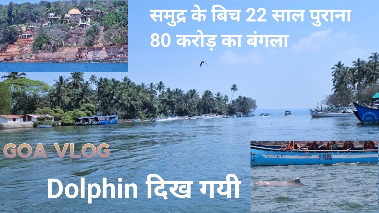 Dolphin Trip in Goa !! Water Sports Activities in goa !! boating in goa ...