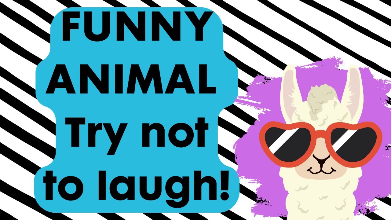 Kids try not to laugh! Funny Animal Edition! - YouTube