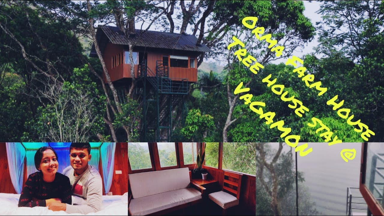 Tree House Stay @ Vagamon| Orma Farm House | Rain and Mist Treat|Happy ...