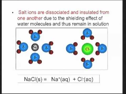 Water Shell Formation in Salt Dissociation - YouTube