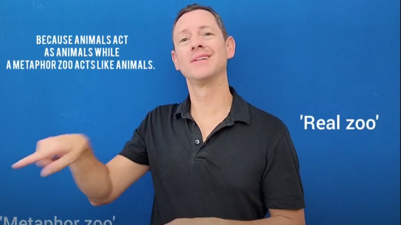 English Idiom- That place is a zoo. - YouTube