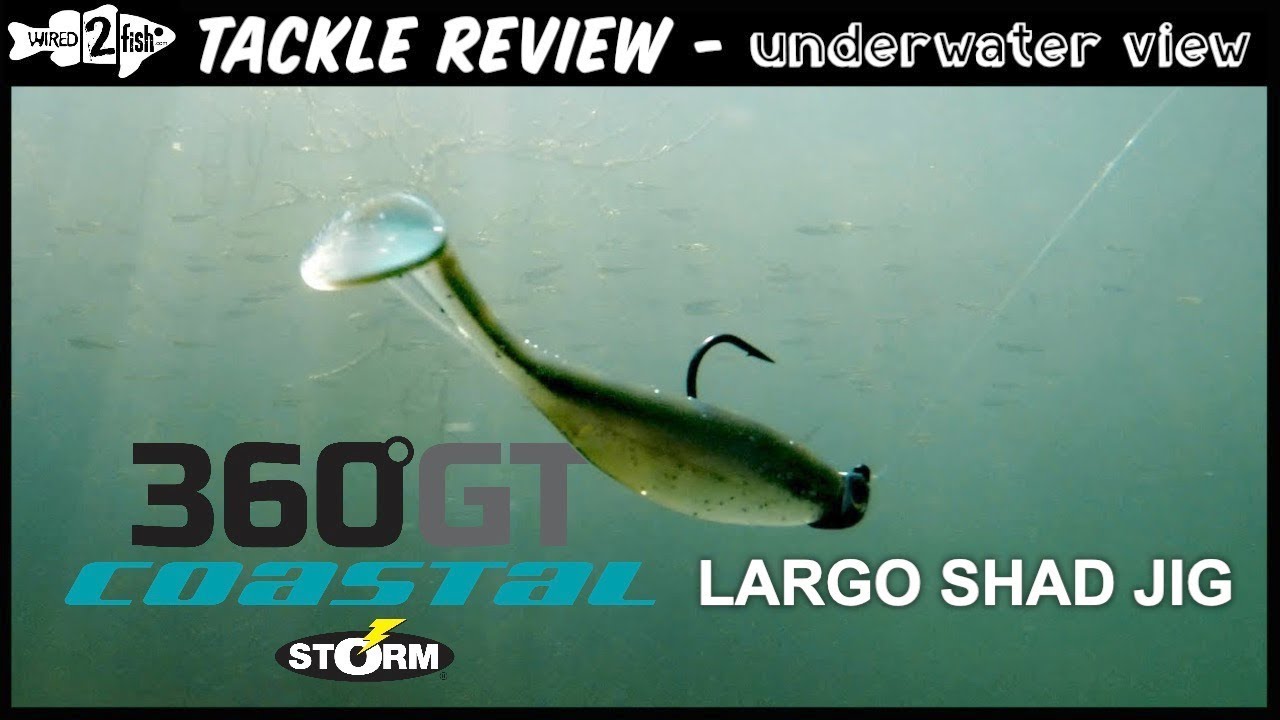 Storm 360GT Largo Shad Jig | Underwater View - YouTube