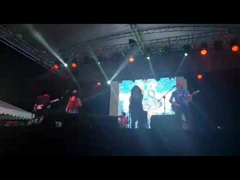 Lan Oğlum Böyle Olmaz             Timsahın Gözyaşları