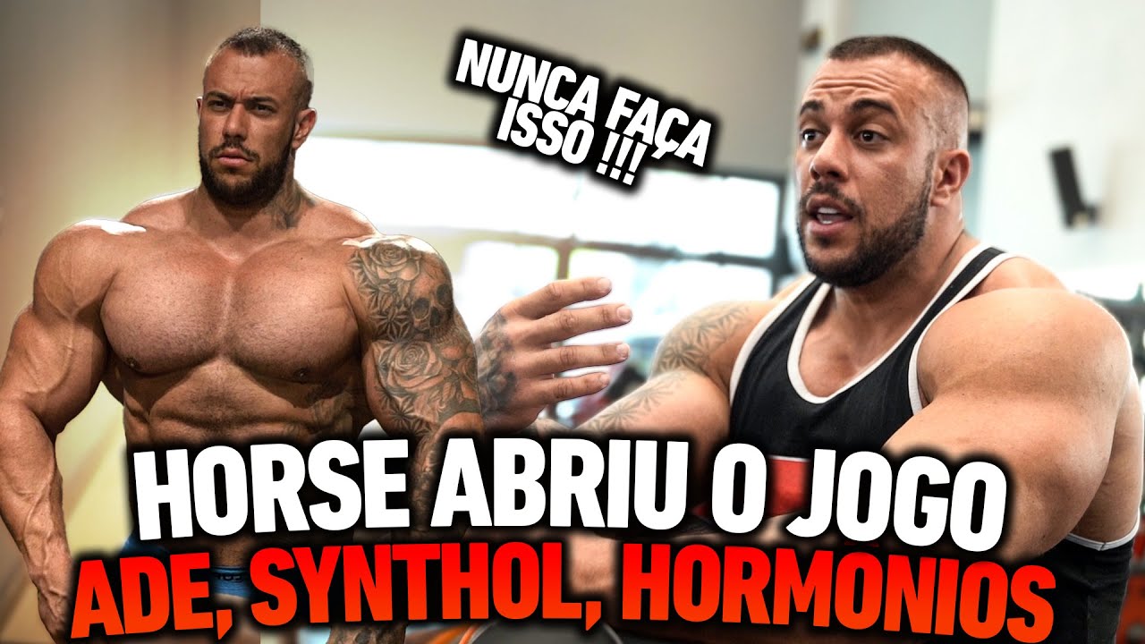 SYNTHOL E ANABOLICOS MARCELLO HORSE - YouTube