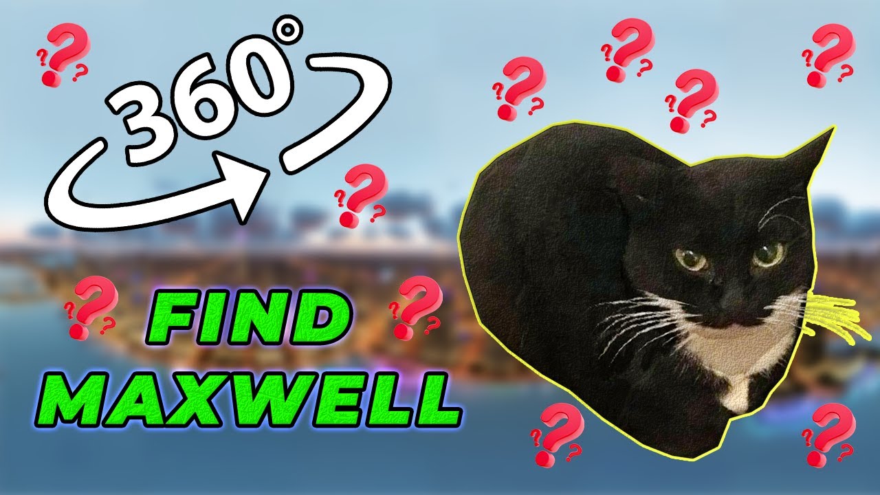 Maxwell The Cat 360° - FIND MAXWELL| VR/360 Video 🔍 - YouTube