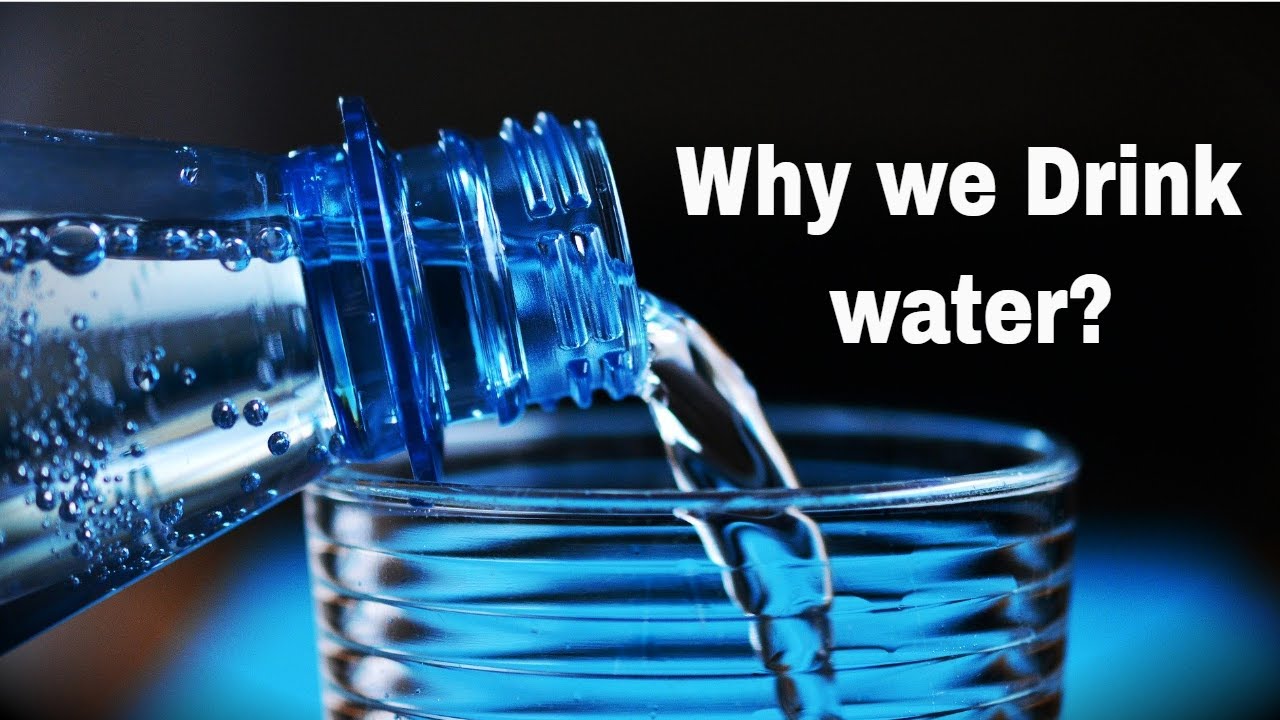 Why we Drink water? - YouTube