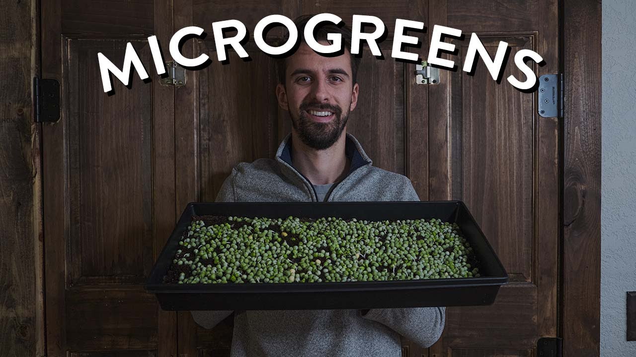 Easy To Set Up Microgreens Station - YouTube