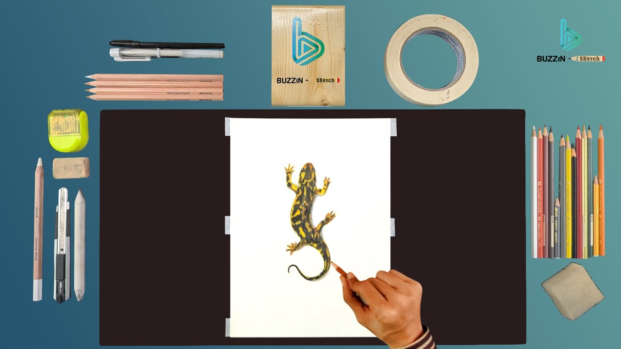 How to Draw Bruni the Fire Salamander | Easy Fire Salamanders Drawing ...
