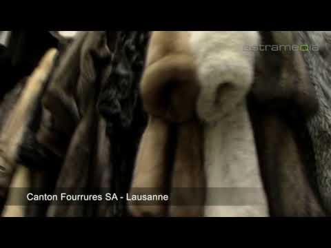Canton Fourrures SA, Lausanne; Fourrure classique au ... - YouTube