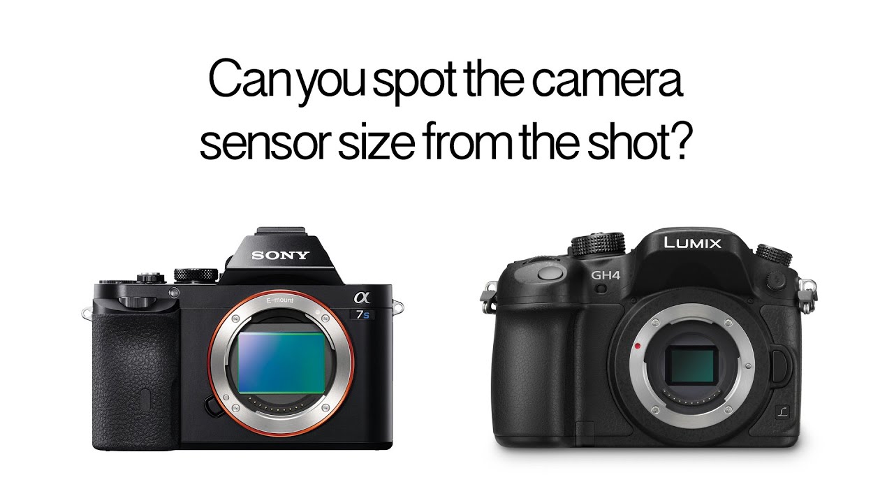 Can You Spot The Camera SENSOR SIZE From The Shot Full Frame Vs M4 3