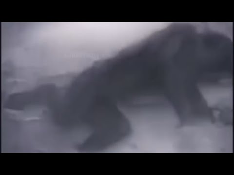 5 ЖУТКИХ ОБОРОТНЕЙ СНЯТЫХ НА КАМЕРУ