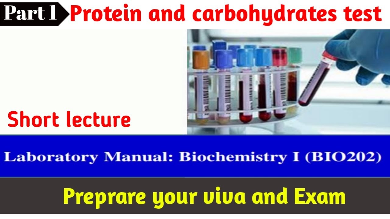 Protein and carbohydrate test Bio202 practical part 1 - YouTube
