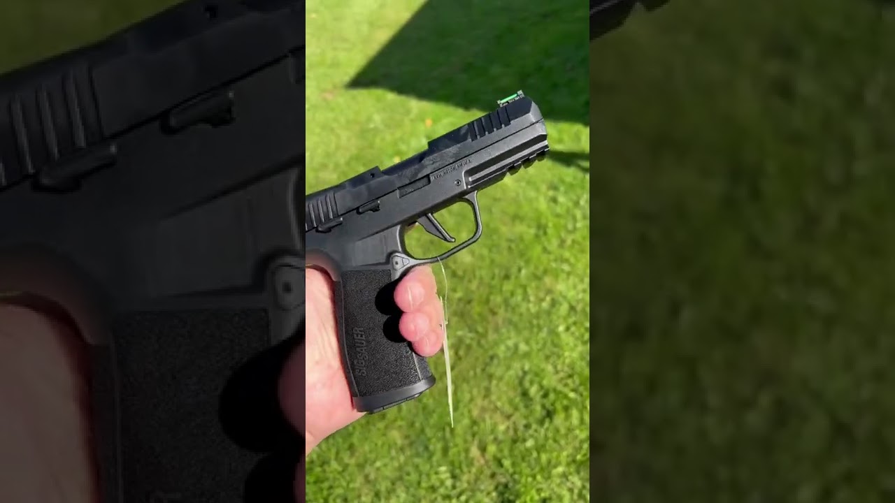 Here’s a plinking gun for you to train with, the Sig Sauer 322 ...