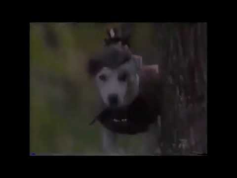 PBS Kids (PTV Park era) 1994 PTV Park era - YouTube