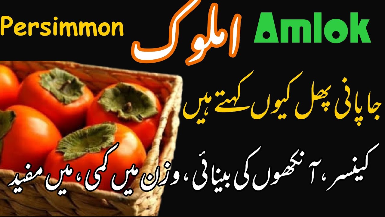 Amlok Persimmon Benefits Of Persimmon Japani Phal Q Kaha amlok-persimmon-benefits-of-persimmon-japani-phal-q-kaha
