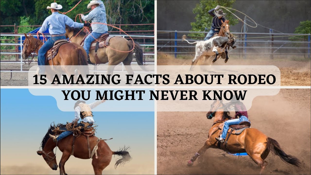 Fun facts about Rodeo are here. Take a look here! - YouTube