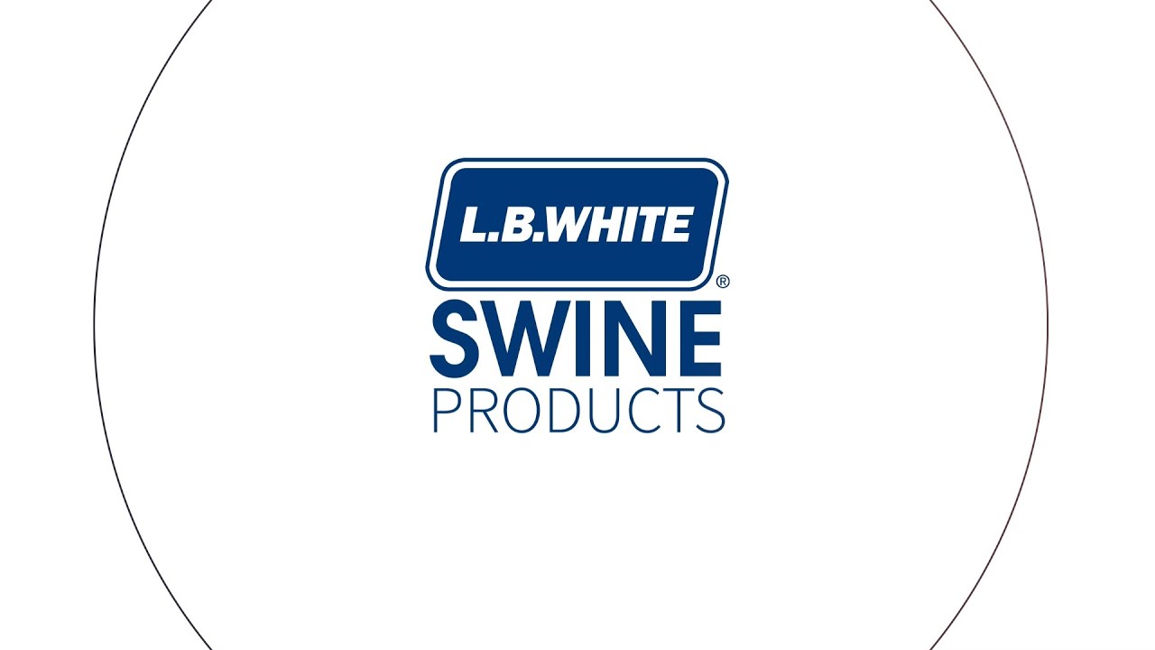 L.B. White Swine Products - YouTube