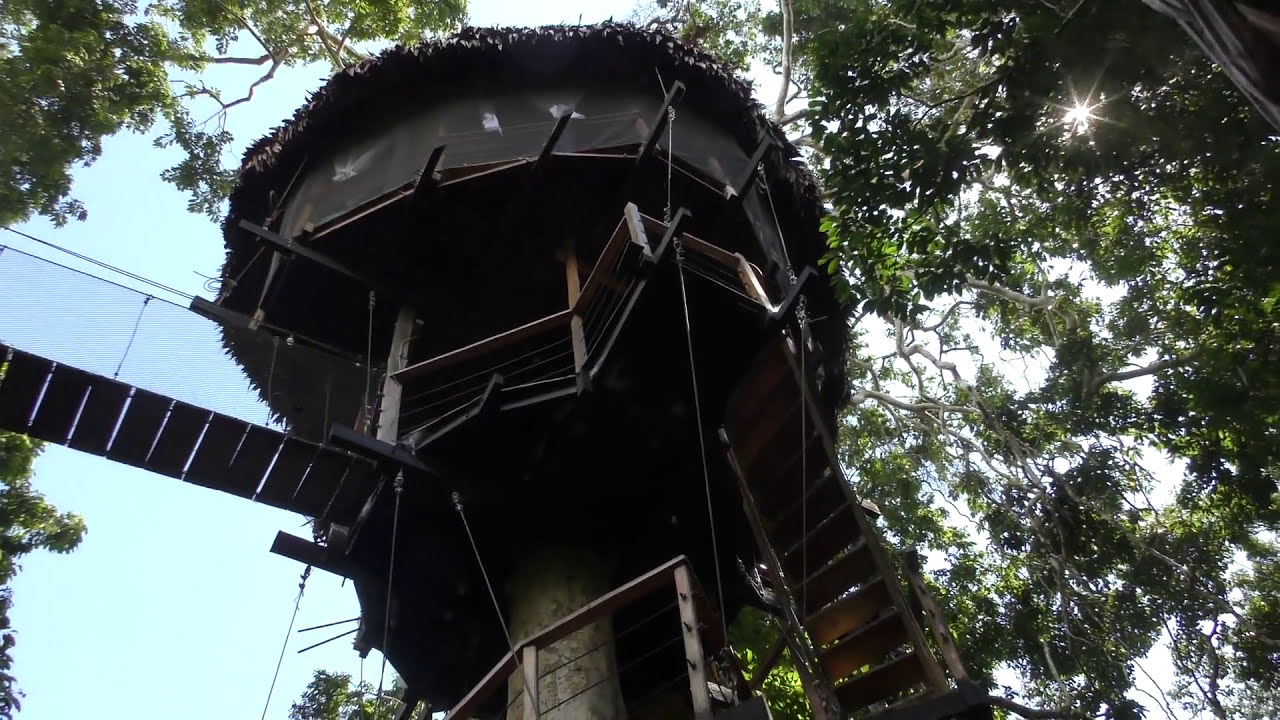 Amazon Treehouse Tour, Peru - The Treehouse Lodge - YouTube