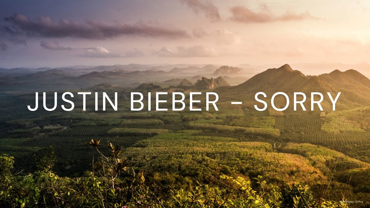 JUSTIN BIEBER - SORRY | LYRICS - YouTube