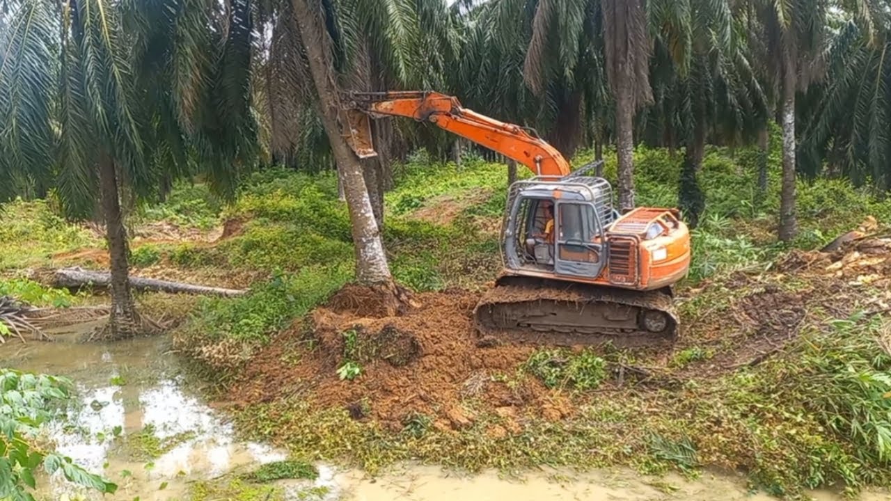 Excavator chipping palm oil extreme location, operator by Heru - YouTube