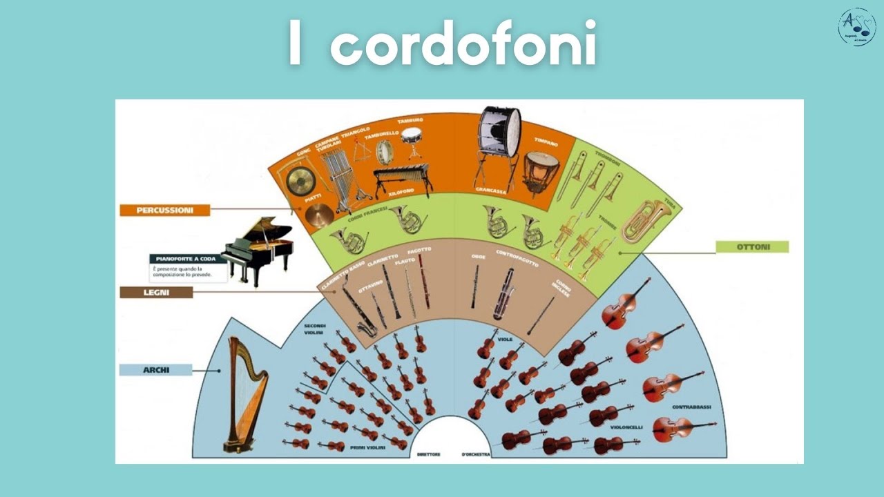 GLI STRUMENTI Cordofoni (12) Viola - Violoncello - Contrabbasso e i ...
