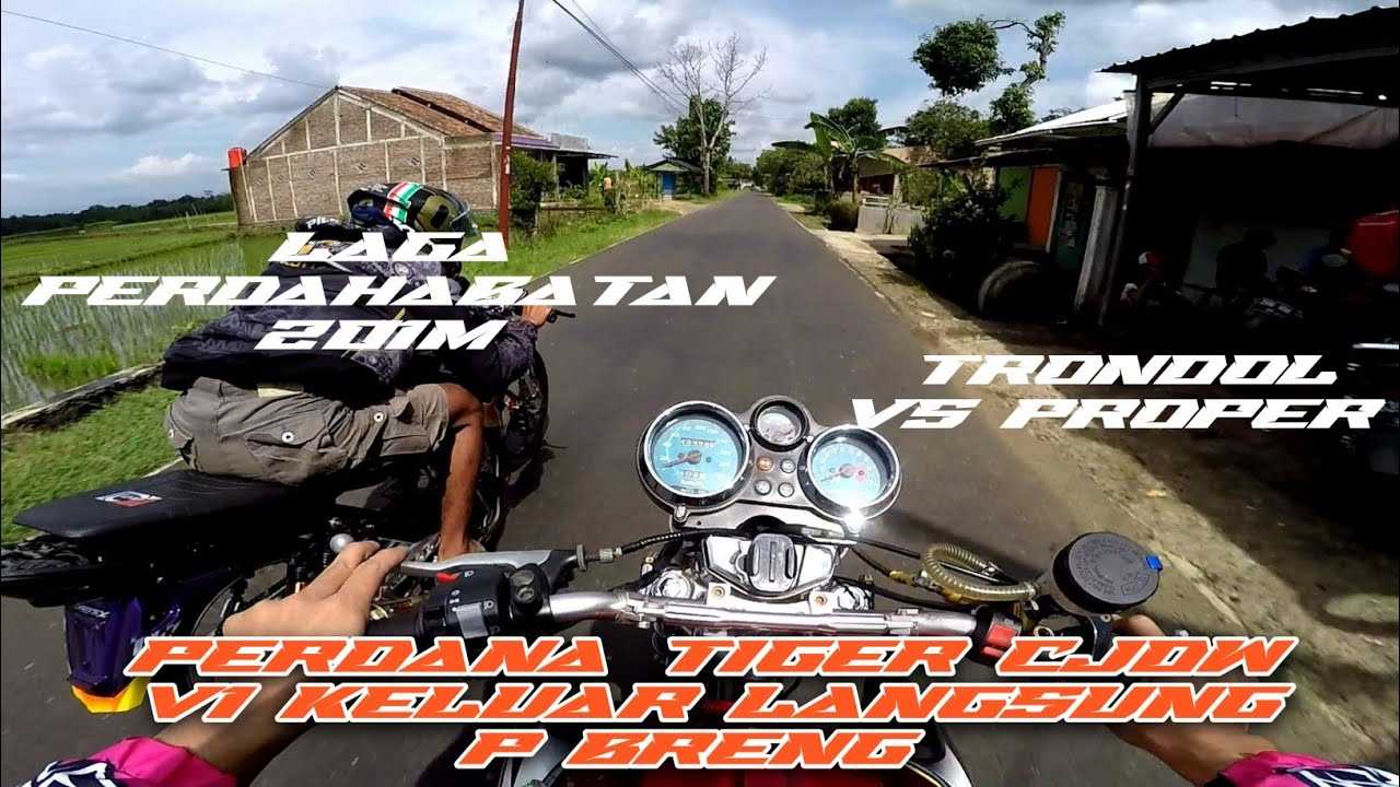 PERDANA TIGER CJDW V1 DIBALAPIN BARENG TIGER OLYMPUS 201M ‼️HEREX ...