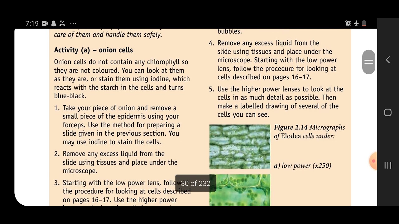 Grade 9 Biology Unit 2 Part 5 - YouTube