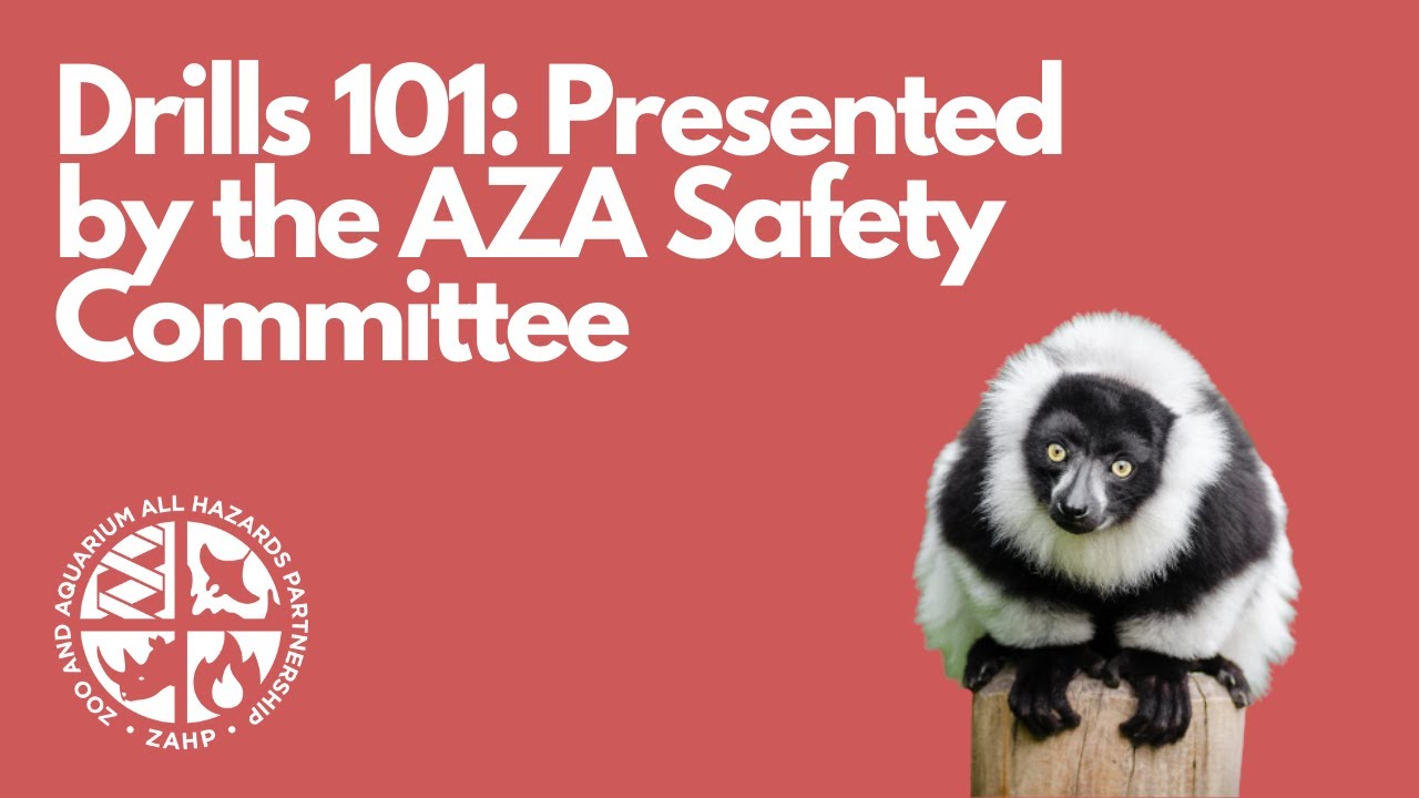 Drills 101: Presented by the AZA Safety Committee (Webinar Recording ...