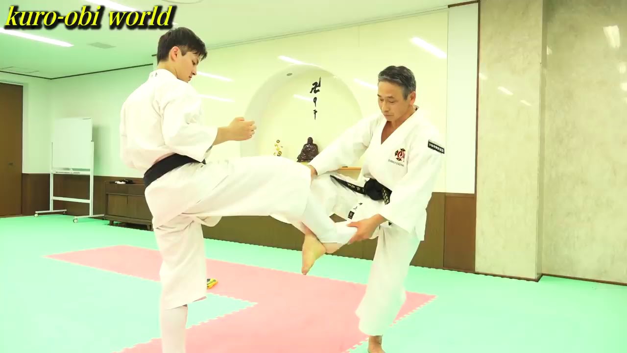 Kin Geri - Đòn đá nguy hiểm của karate vào hạ bô - YouTube