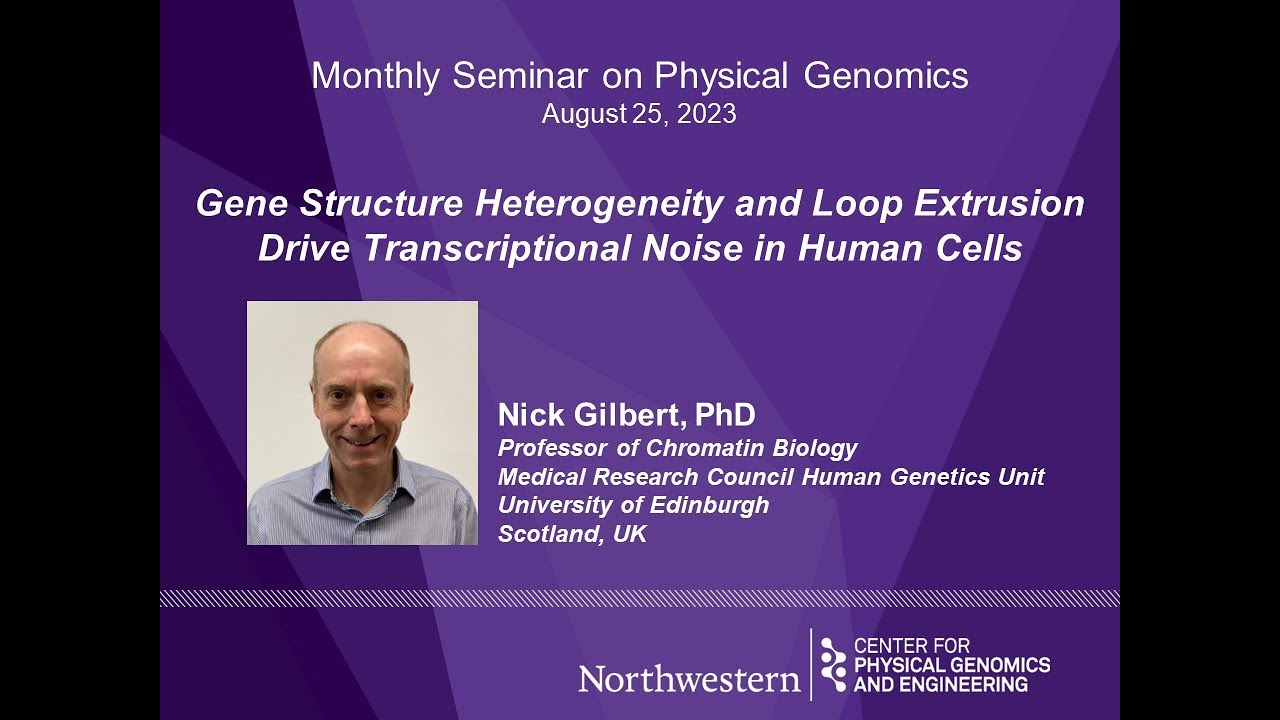 Gene Structure Heterogeneity and Loop Extrusion Drive Transcriptional ...