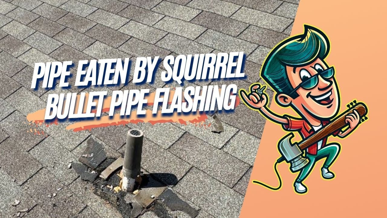 Roof Bullet Pipe Jack Flashing Eaten Away By Squirrel | San Antonio ...