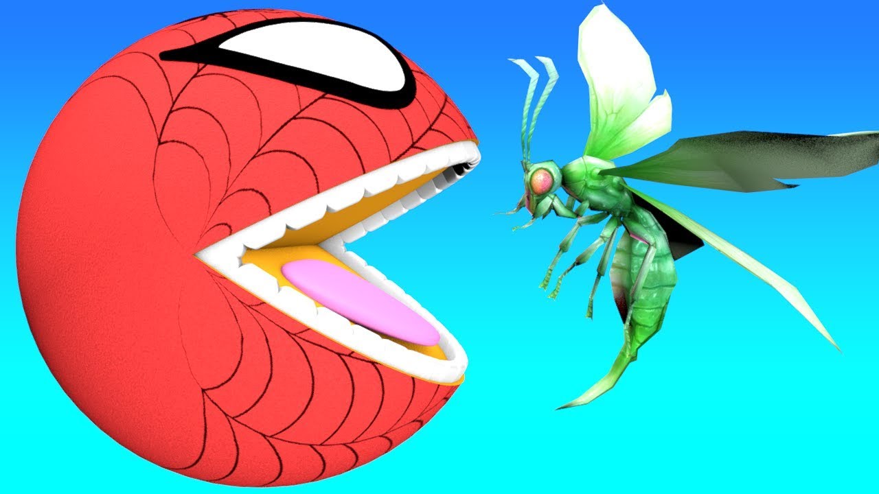 Spider Pacman meets a Bee-PACMAN roll on farm found Animals Friends ...