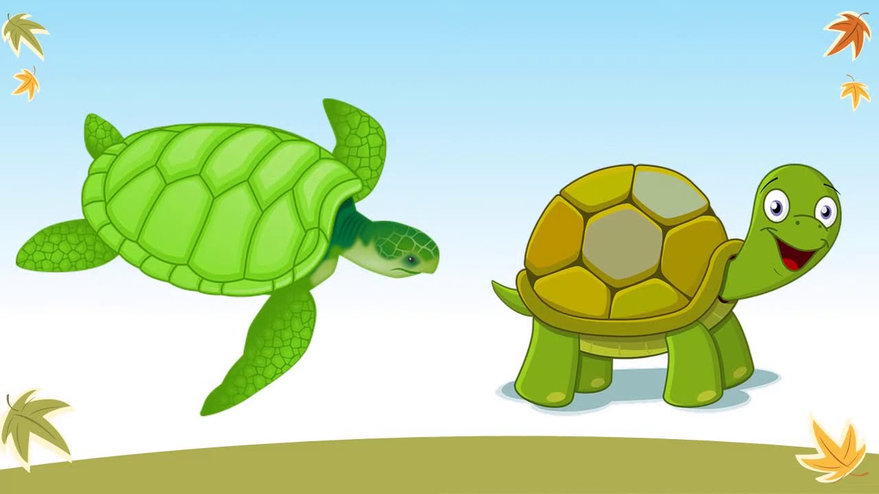 Sea Animals Or Water Animals Videos For Kids | Sea Animals For Kids ...