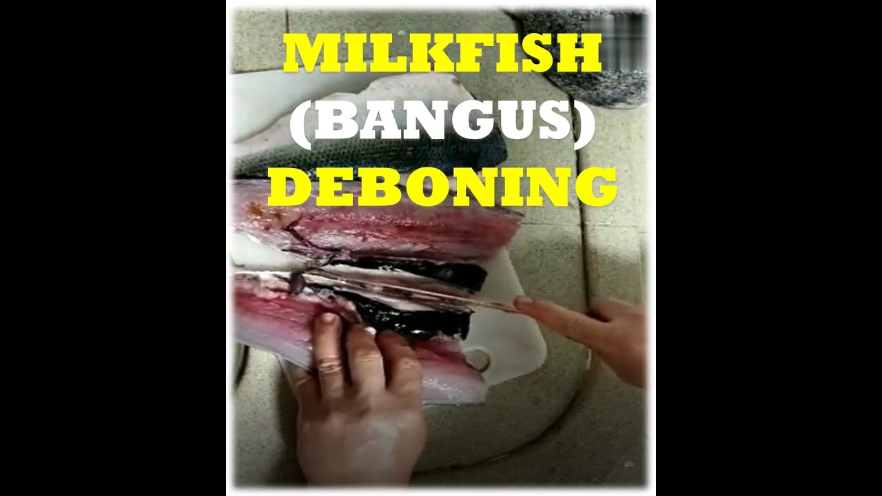 EASIEST WAY on How to DEBONE Milkfish | BANGUS [Part 1] - YouTube