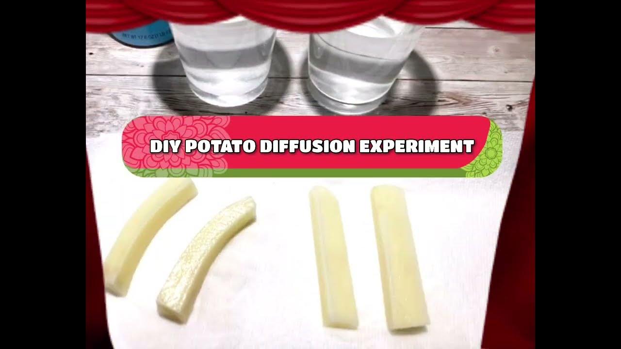 POTATO DIFFUSION EXPERIMENT (GCSE/IGCSE/AS/A LEVEL/CBSE) - YouTube