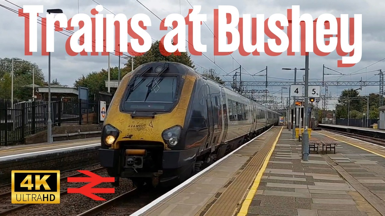 Trains at Bushey (16th October 2024) - YouTube