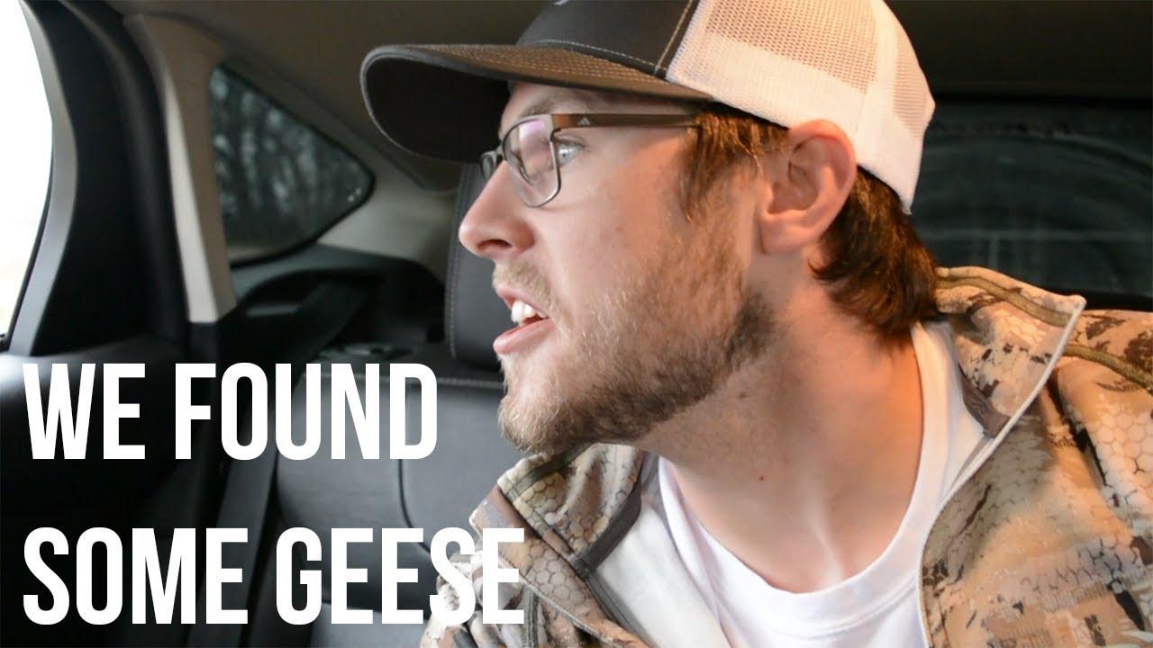 We Found Some GEESE - YouTube
