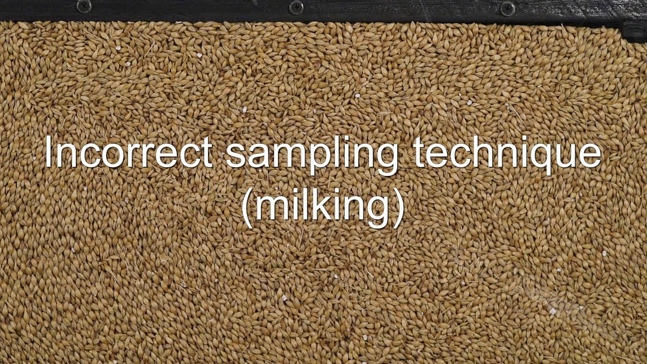 ISTA Nobbe Trier Sampling Technique - YouTube