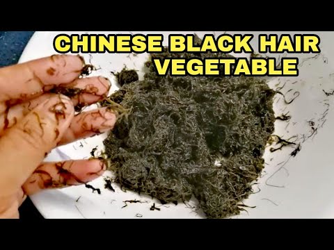 Chinese Vegetable Black Hair #Fat Choy #shorts#shortsbeta//BinaNels ...