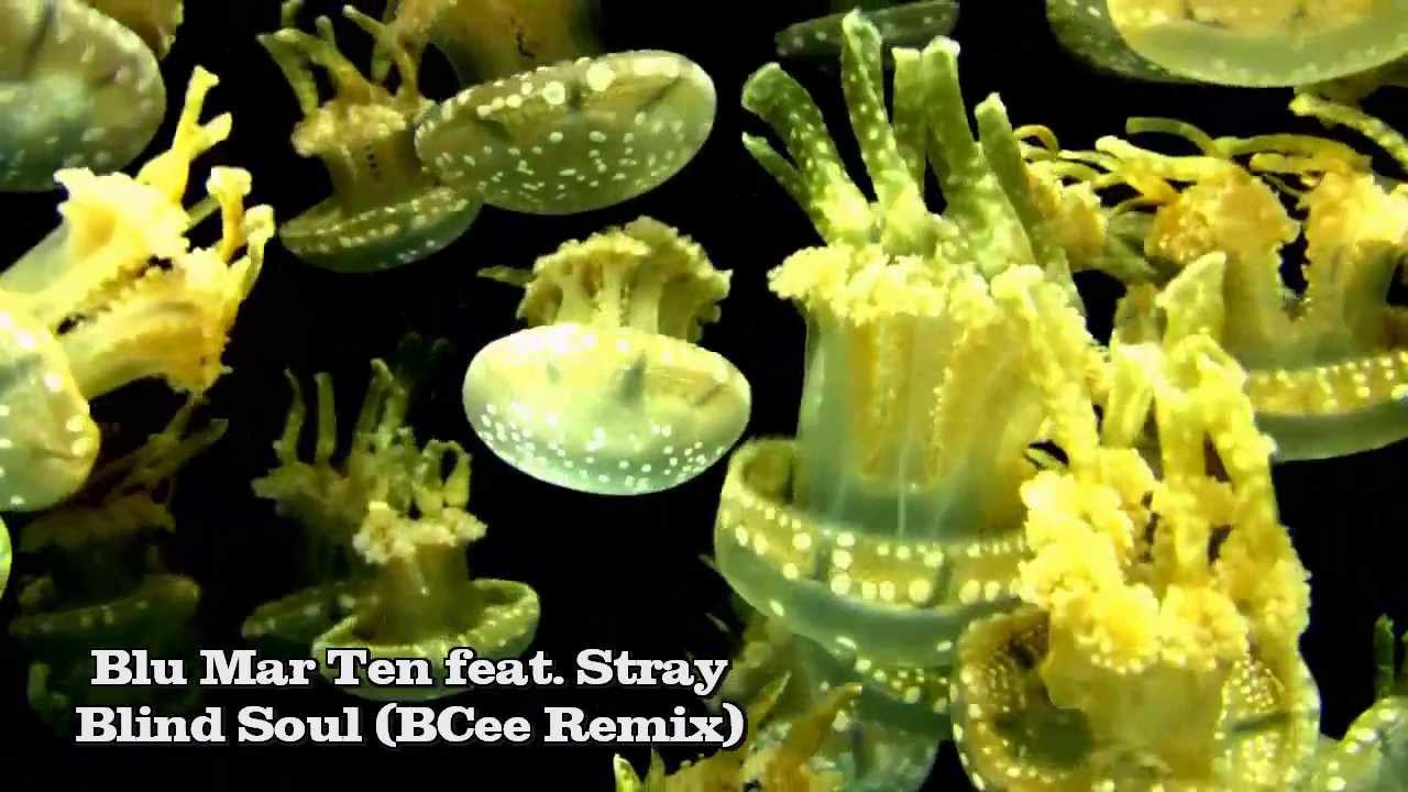 Blu Mar Ten feat. Stray - Blind Soul (BCee Remix) [HD] - YouTube